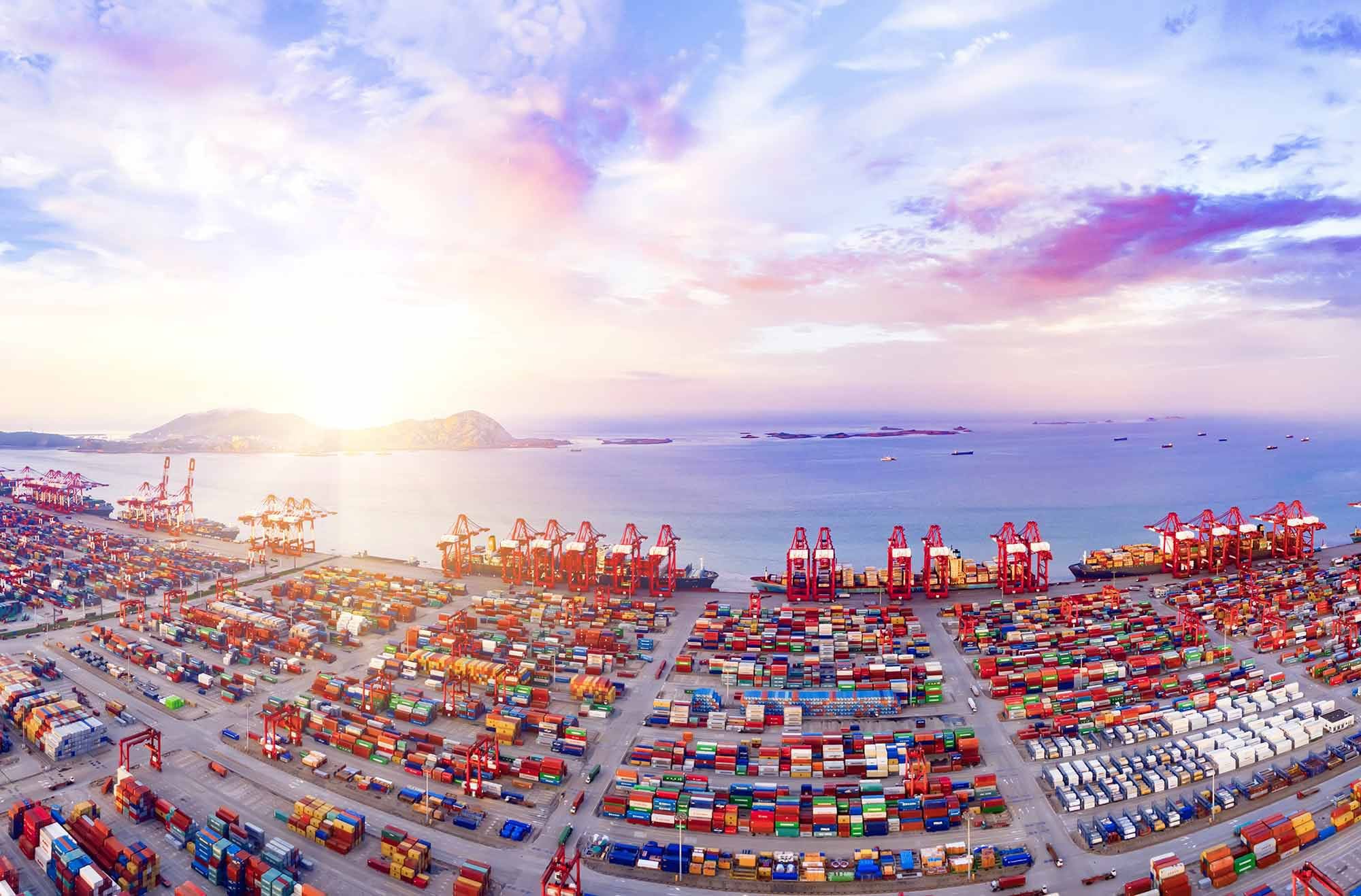 Custom Logistics Solutions | dfYOUNG